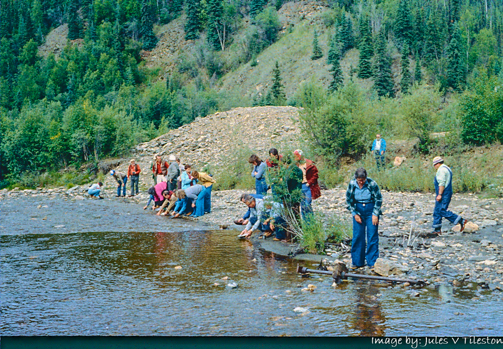 ARLIS Document Server : Digital and scanned photographs of the ...