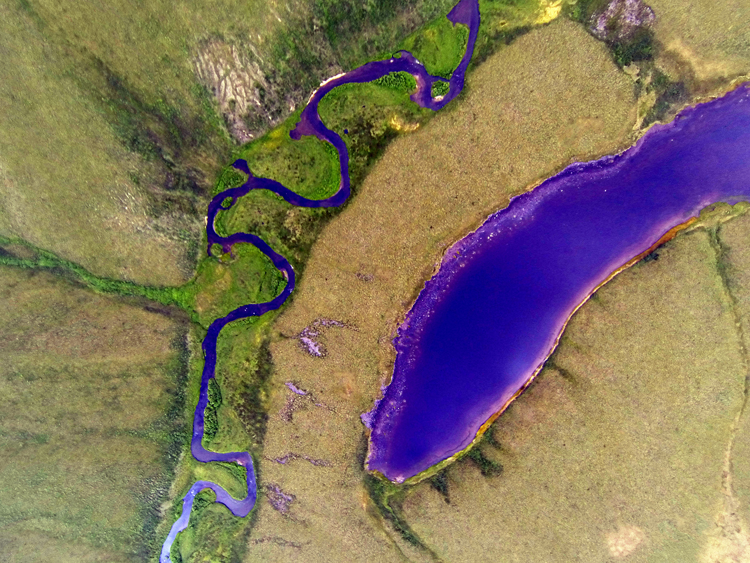 Founder Services - Alaska Resources Library & Information Services